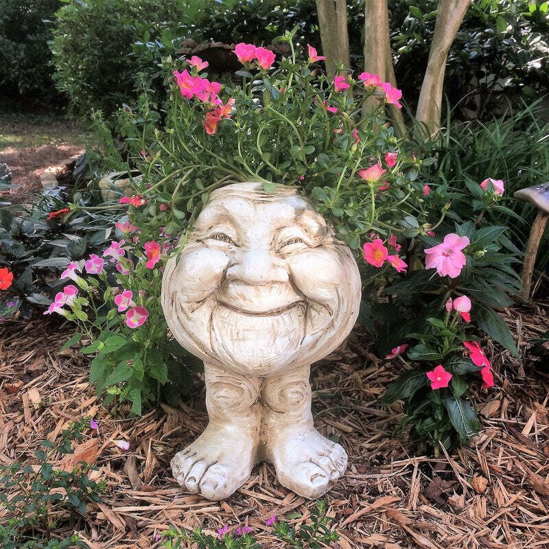Funny Plant Pot Eraforte funny-plant-pot-eraforte